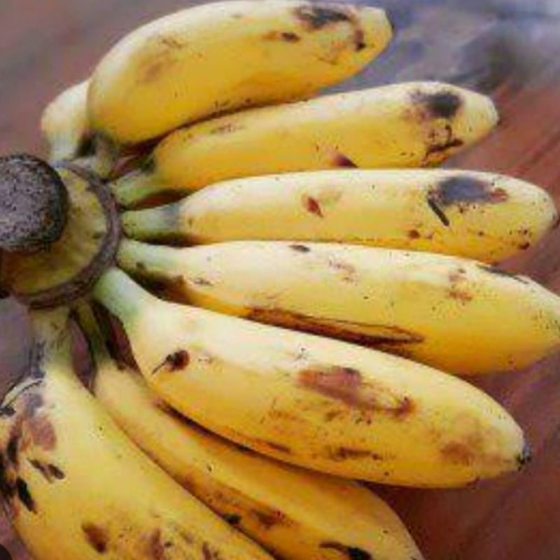 Jual Pisang bangka wulu pisang uli | Shopee Indonesia