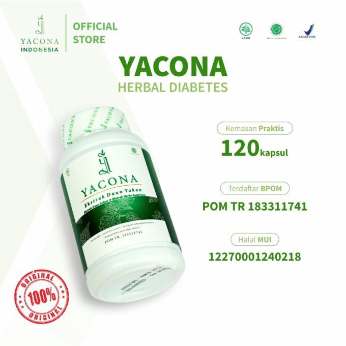 Jual Obat Herbal Diabetes Terbaik Mengobati Pankreas Yacona ASLI ...