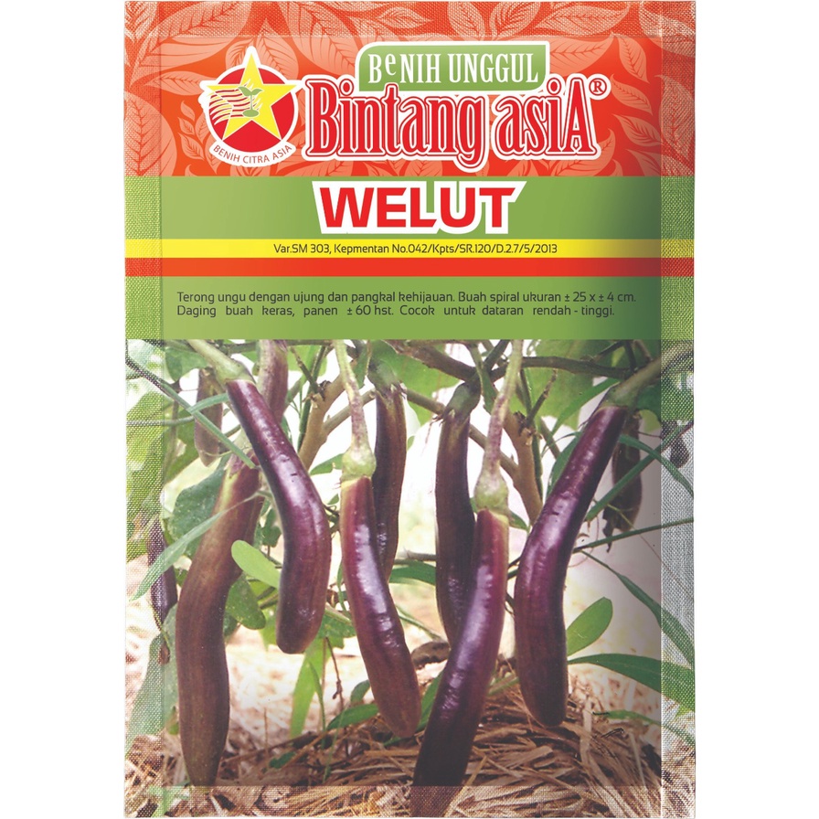 Jual Benih Terong WELUT 10 Gram Cap Bintang Asia Daging Buah Keras ...