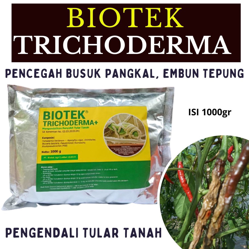 Jual Pupuk Biotek Trichoderma Plus Beauveria Bassiana Pembasmi Belalang ...