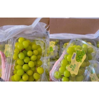 Jual anggur shine muscat Harga Terbaik & Termurah Juni 2024 | Shopee ...