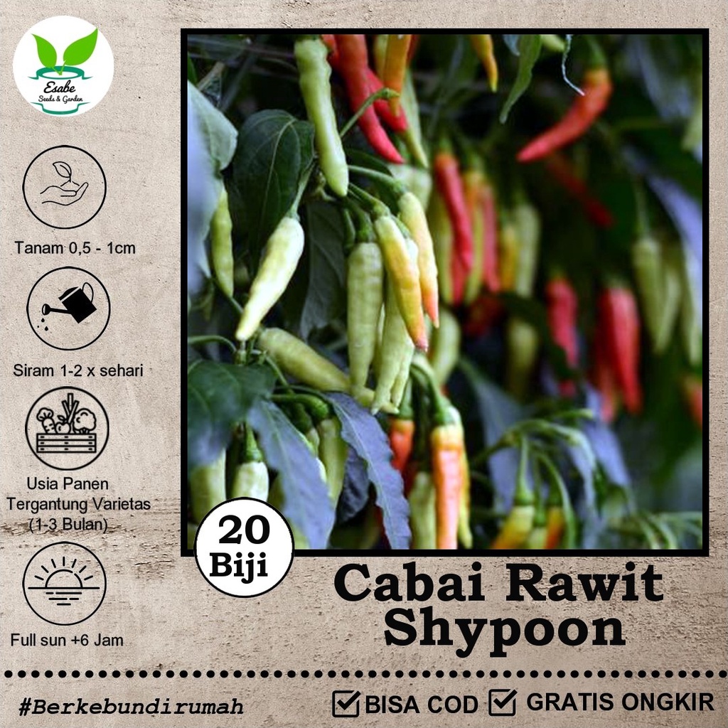 Jual Benih Biji Cabe Rawit Shypoon Buah Bergerombol Benih Sayuran Cabai ...