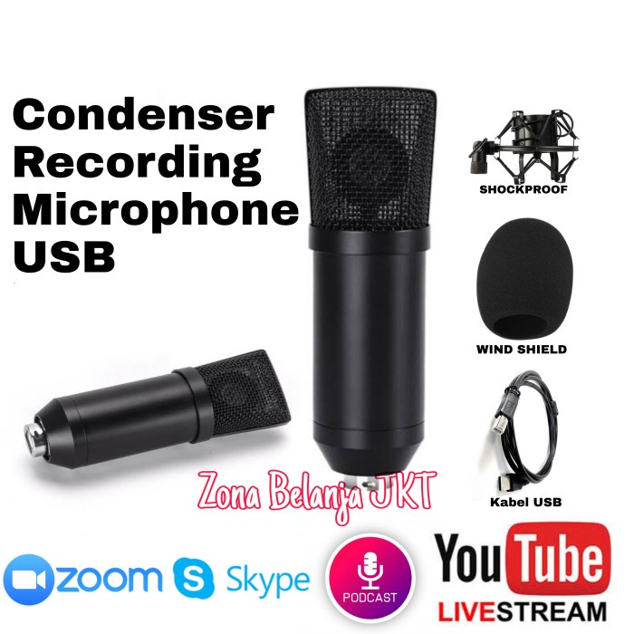 Jual Microphone - Mic Condenser BM 700 USB Recording Zoom Podcast ...