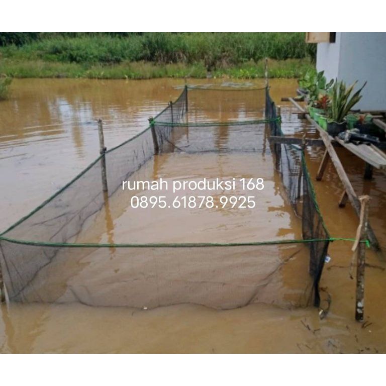 Jual keramba ikan 6m x 6m x 1.5m waring jaring ikan tambak ikan ...
