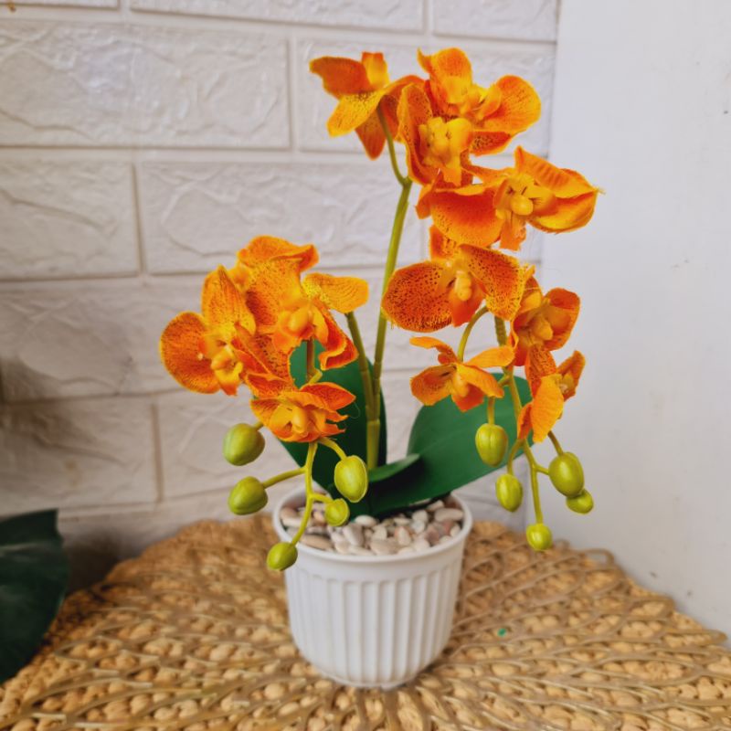 Jual bunga anggrek bulan pot gentong plastik artificial | Shopee Indonesia