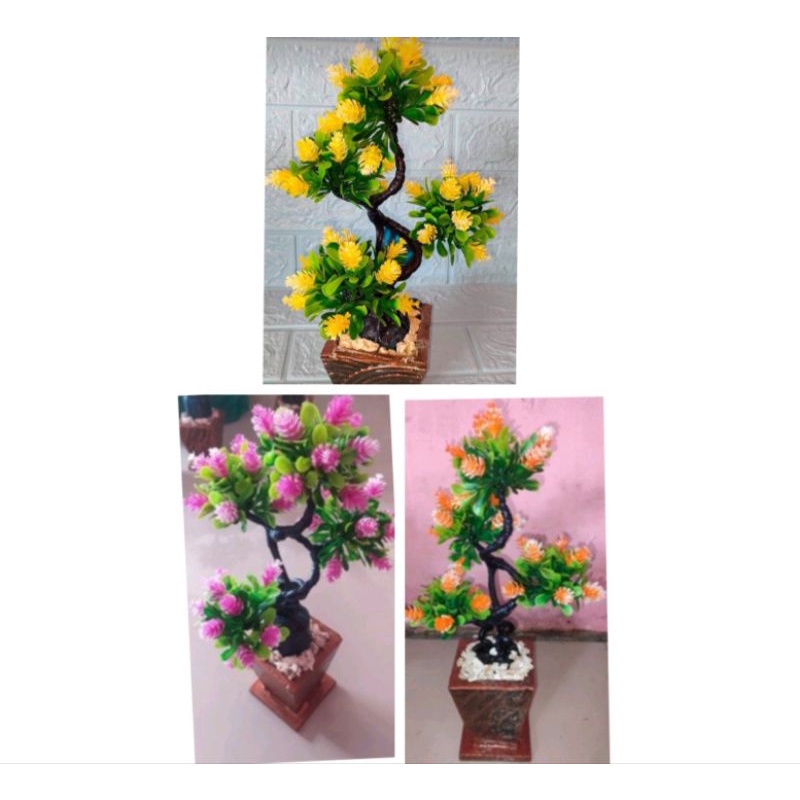 Jual TINGGI 40CM LENGKAP POT BEBATUAN // BUNGA HIAS MEJA SEMANGGI PINUS ...