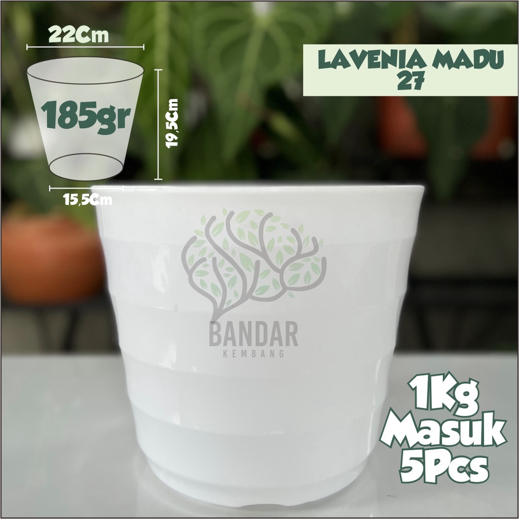 Jual Pot Lavenia Madu 27, pot bunga tanaman hias bagus aesthetic bibit ...