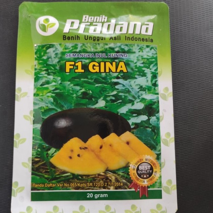 Jual Benih Semangka Inul Kuning F1 GINA isi 20gr dari Pradana | Shopee ...