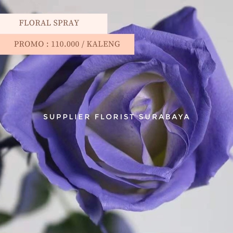 Jual FLORAL COLOR SPRAY CEPAT KERING PENGUBAH WARNA BUNGA ASLI ...