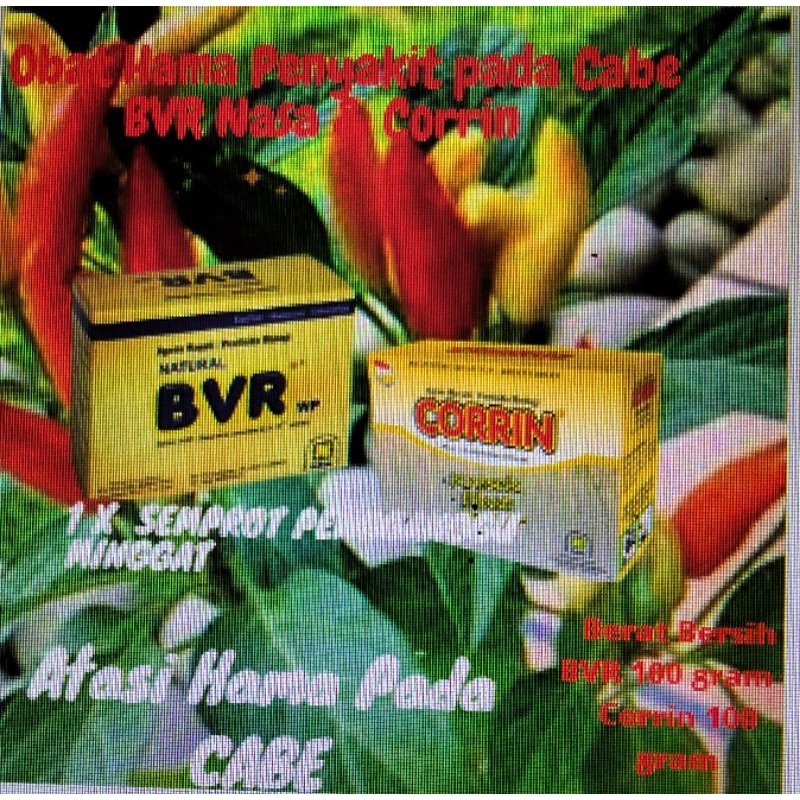 Jual paket pestisida hayati hama tanaman BVR NASA dan Corrin | Shopee ...