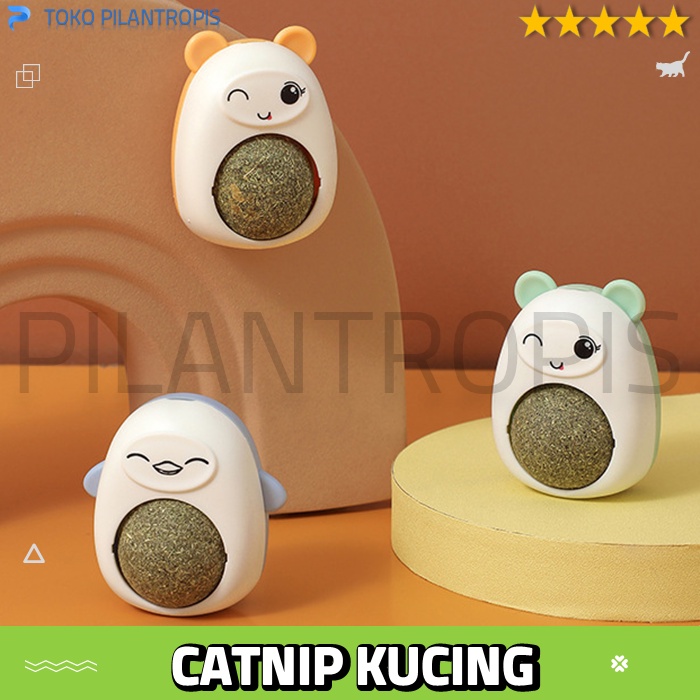 Jual BOLA CATNIP KUCING BALL TEMPEL PUTAR AVOCADO CATMINT MAINAN BUAT ...