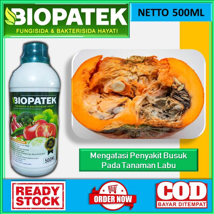 Jual OBAT BUSUK BUAH LABU - ampuh mengatasi penyebab terjadinya ...