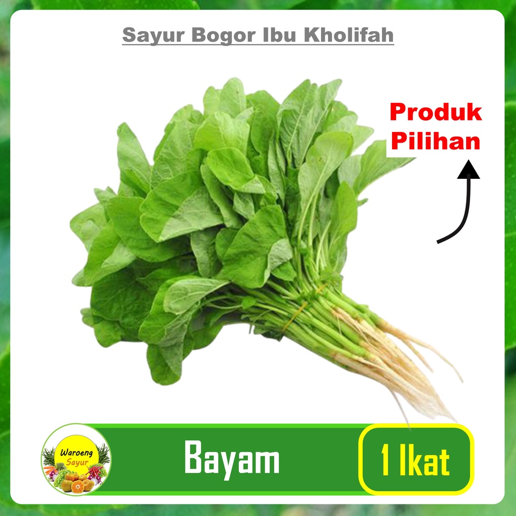 Jual Bayam Hijau Segar Per Ikat Bayem Sayuran Online Segar Bogor ...