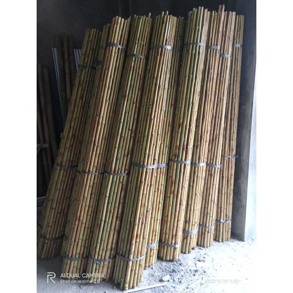 Jual BAMBU CENDANI LURUS OPEN BERSIH MENGKILAT T 2 MTR | Shopee Indonesia