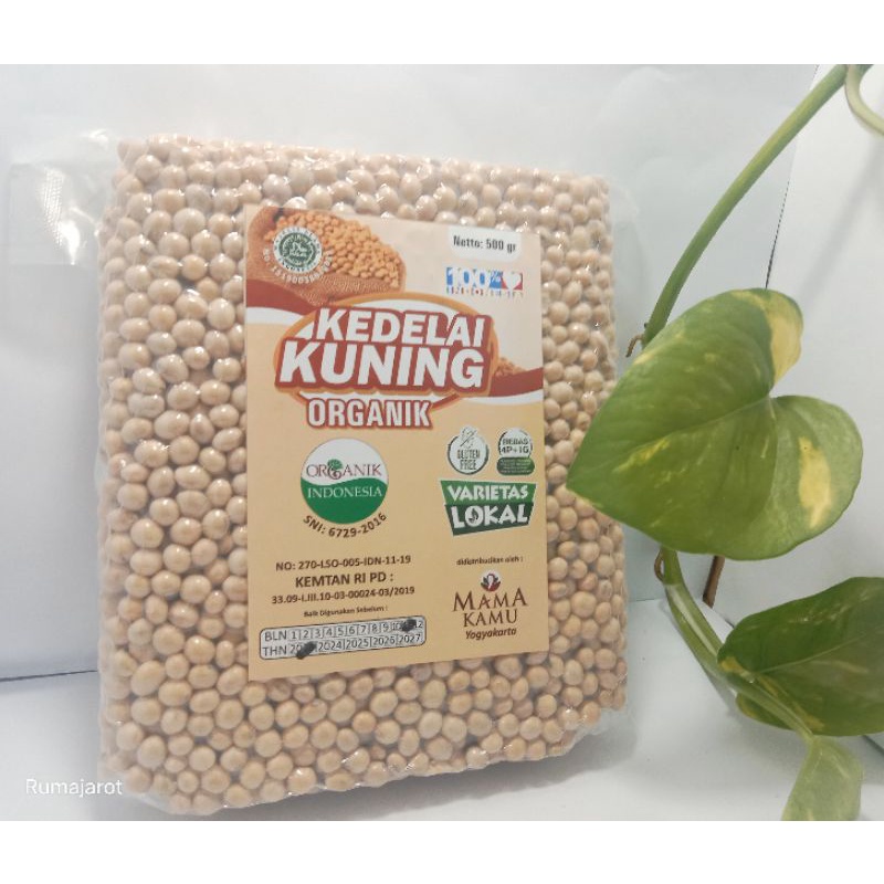 Jual Kacang Kedelai Kuning organik Mama Kamu | Shopee Indonesia