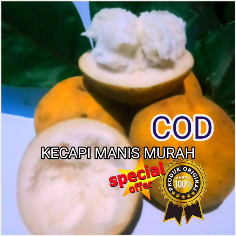 Jual BUAH KECAPI MANIS 1KG ANEKA BUAH BUHAN MANIS | Shopee Indonesia Jual BUAH KECAPI MANIS 1KG ANEKA BUAH BUHAN MANIS | Shopee Indonesia