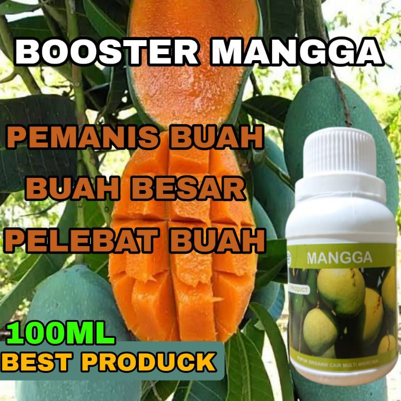 Jual Pupuk cair organik mangga super lebat booster mangga biar cepat berbuah lebat pemanis buah ...