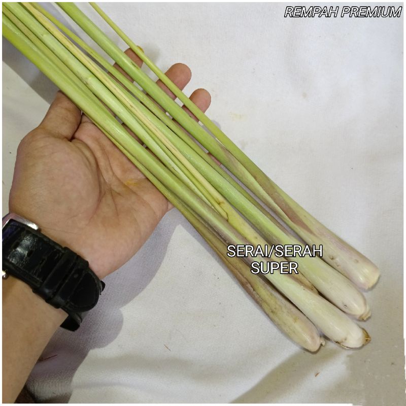 Jual Serai / Sereh 250 gram Fresh Super | Shopee Indonesia