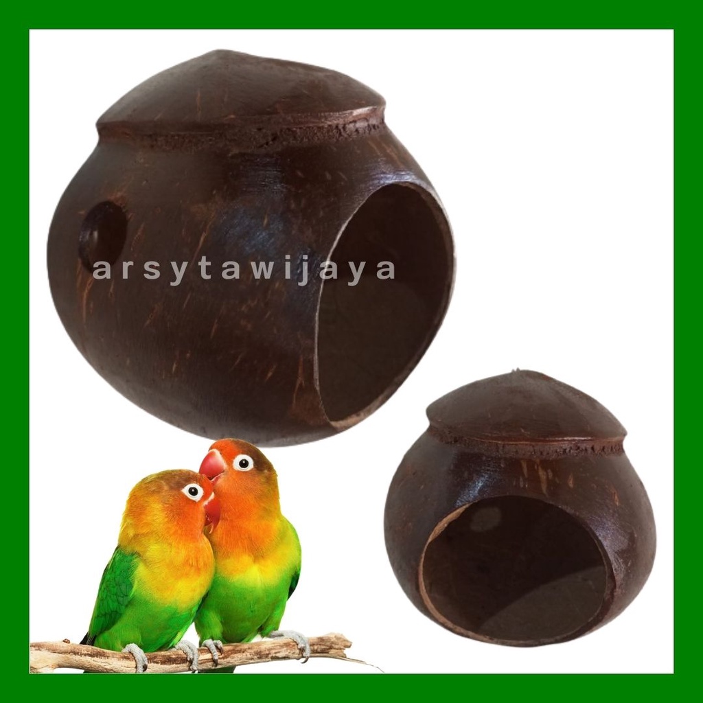 Jual glodok burung - glodok batok kelapa - glodok lovebird - sarang ...
