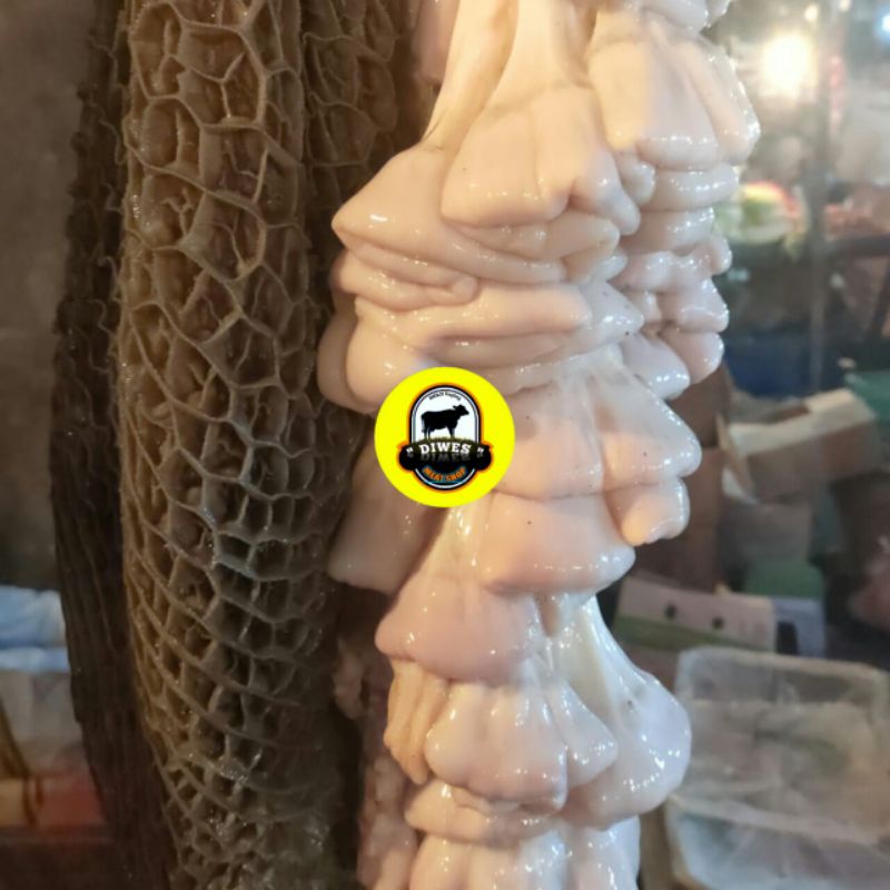 Jual BABAT SAPI UTUH 500g-1KG USUS JUGA ADA | Shopee Indonesia