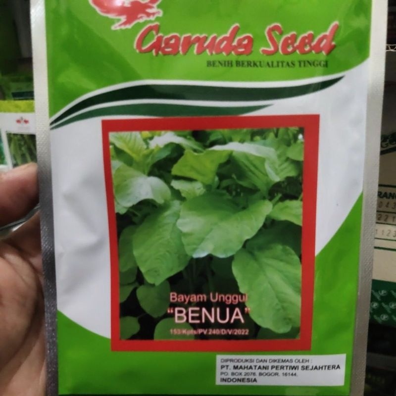 Jual ( 50 gram ) Benih bayam BENUA 50gr bayam hijau unggul dari garuda ...