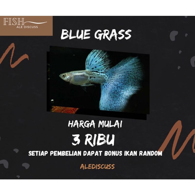 Jual packing Styrofoam ikan Guppy blue gress || ikan hias | Shopee Indonesia