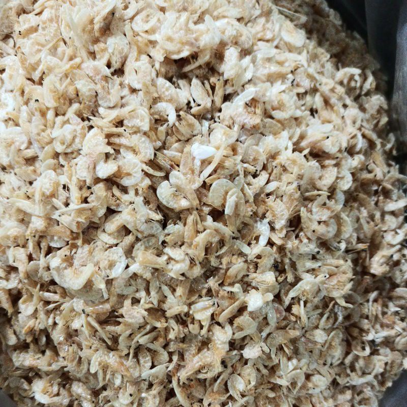 Jual Rebon/Udang Halus/Udang Sesar/Boi He (500gram) | Shopee Indonesia