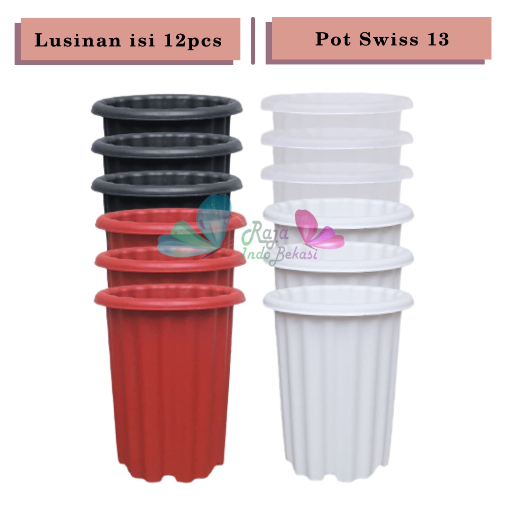 Jual Lusinan 12pcs Pot Swiss 13 Putih Bening Transparan Hitam Merah ...