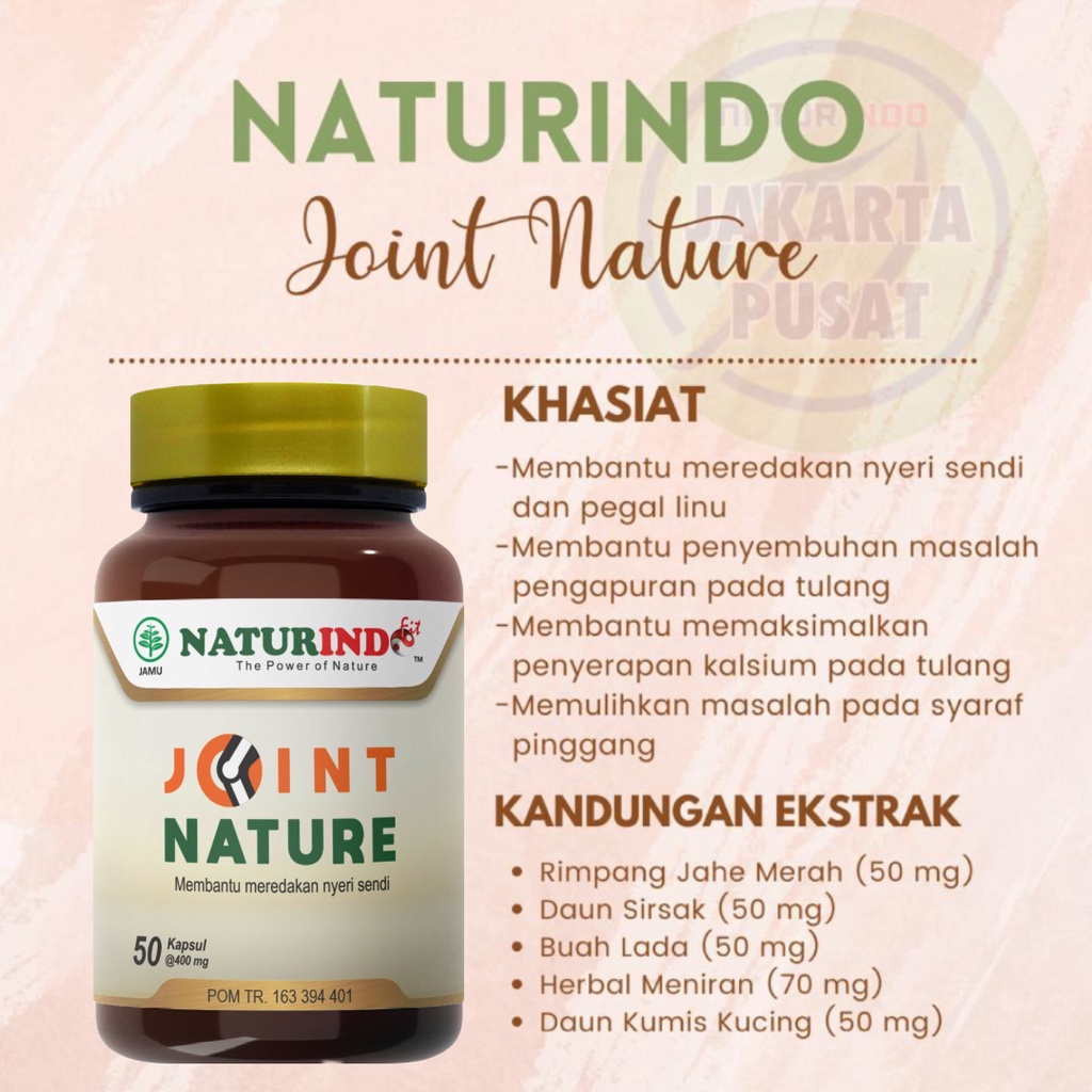 Jual Obat herbal persendian nyeri sendi pegal otot linu kesemutan kebas ...