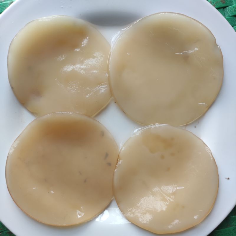 Jual BIBIT SCOBY KOMBUCHA DAN STARTER/ Jamur DIPO Organik / Teh ...