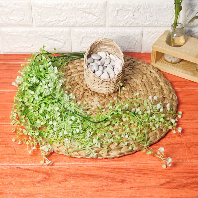 Jual 1 Set Pot Daun Rambat / Tanaman juntai / Pajangan Rak Dinding ...