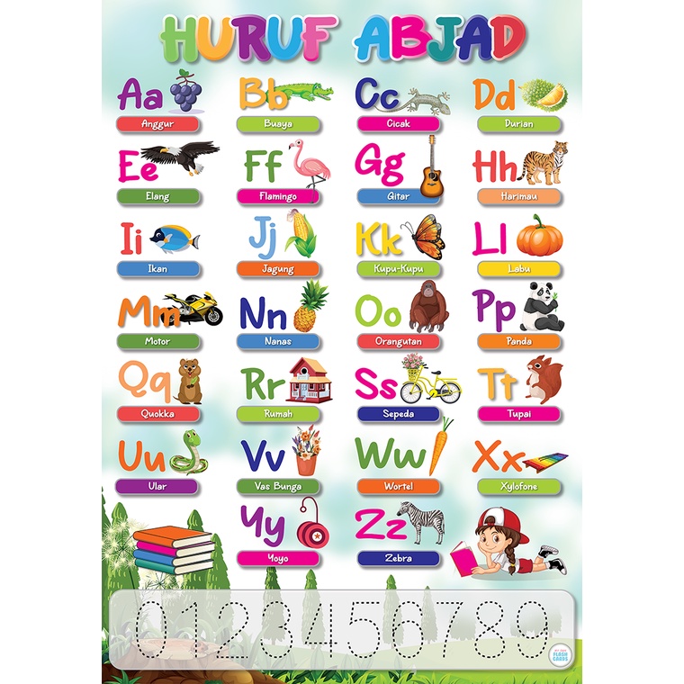 Jual Poster Edukasi Besar Ukuran 38 x 54 cm Dwi Bahasa Wipe Clean ...