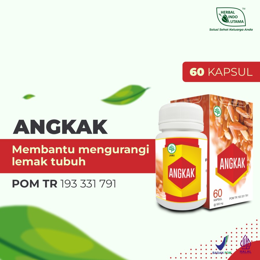 Jual Kapsul ANGKAK Obat Disentri Masalah Pencernaan Limpa Herbal Indo ...