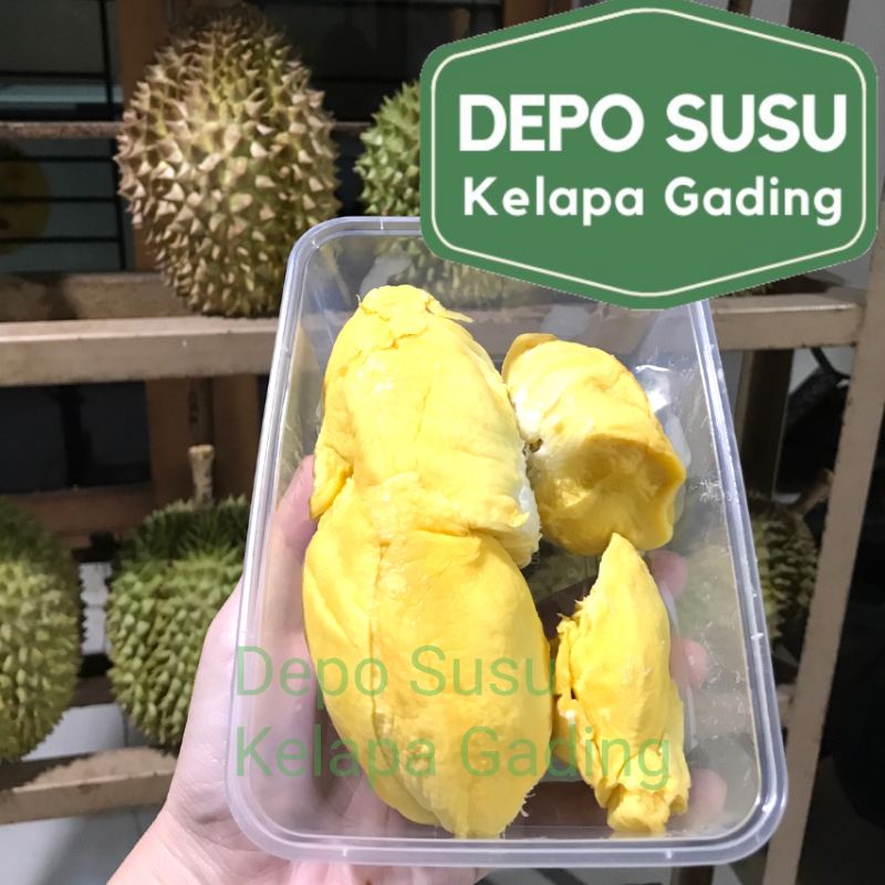 Jual Durian Beku Motong Palu | Musang King | Malaysia D101 Duren Monthong Mochi import Premium ...