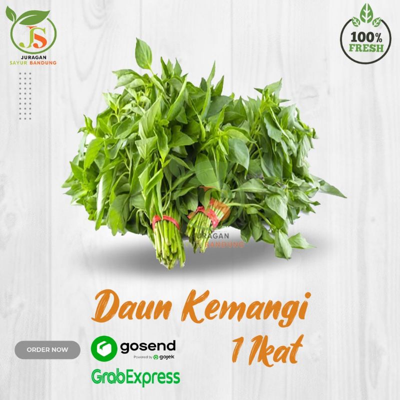 Jual Daun Kemangi Surawung 1 Ikat | Shopee Indonesia