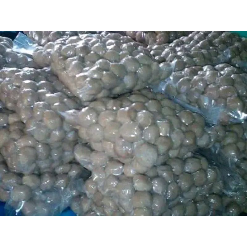 Jual BAKSO SAPI premium ukuran sedeng isi 50 | Shopee Indonesia