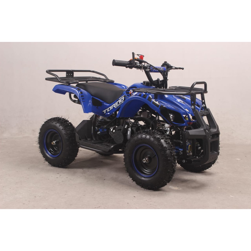 Jual MOBIL ACCU ATV MINI HUNTER | Shopee Indonesia