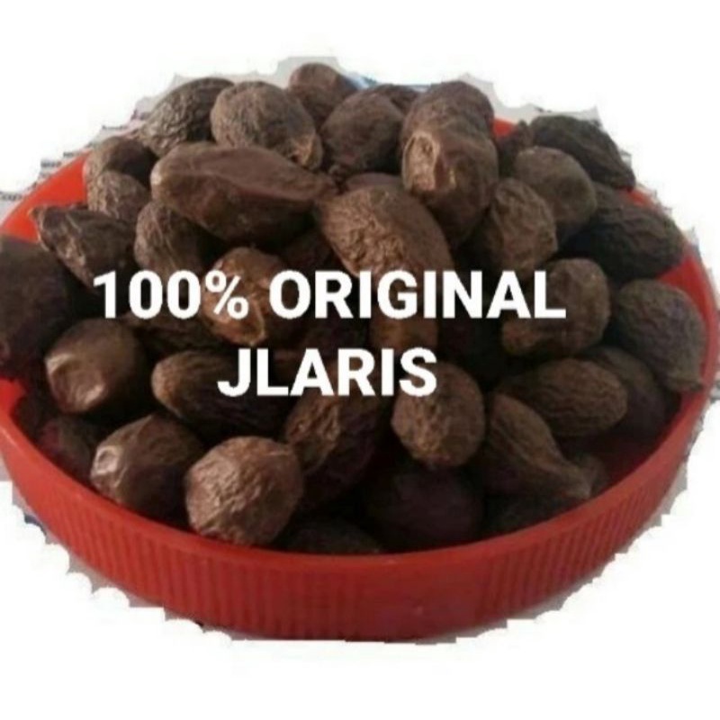 Jual Buah Tempayang 100gram /Tempoyan/ Semangkuk / Beng Ta Hai//Bengkak ...