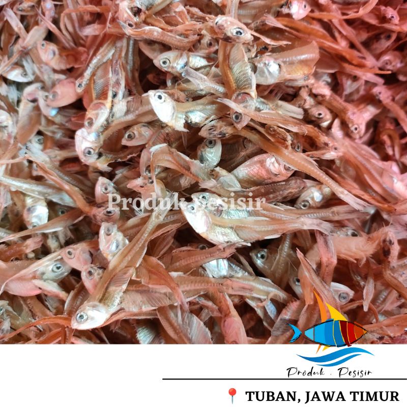 Jual Teri Bunga Sedikit Asin 100 dan 250 gram | Shopee Indonesia