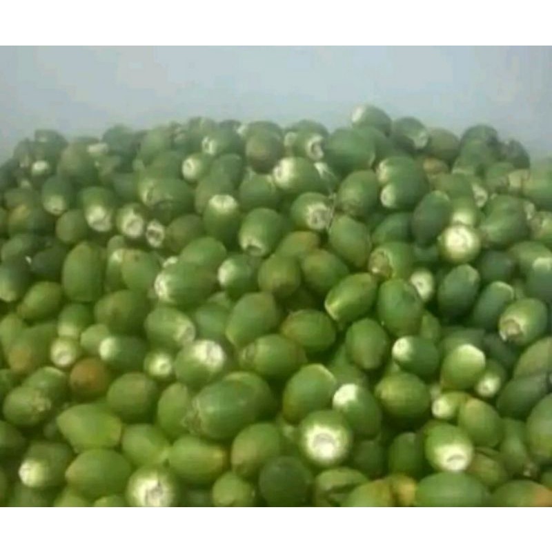 Jual pinang muda 35000 isi 1 kg | Shopee Indonesia