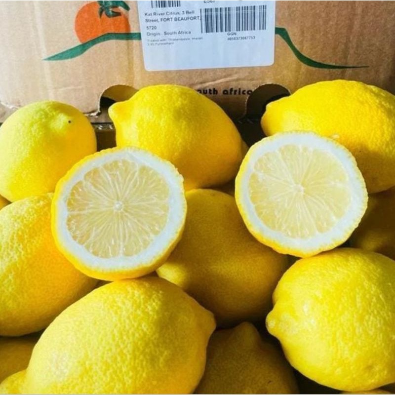 Jual Lemon Import 1kg | Shopee Indonesia