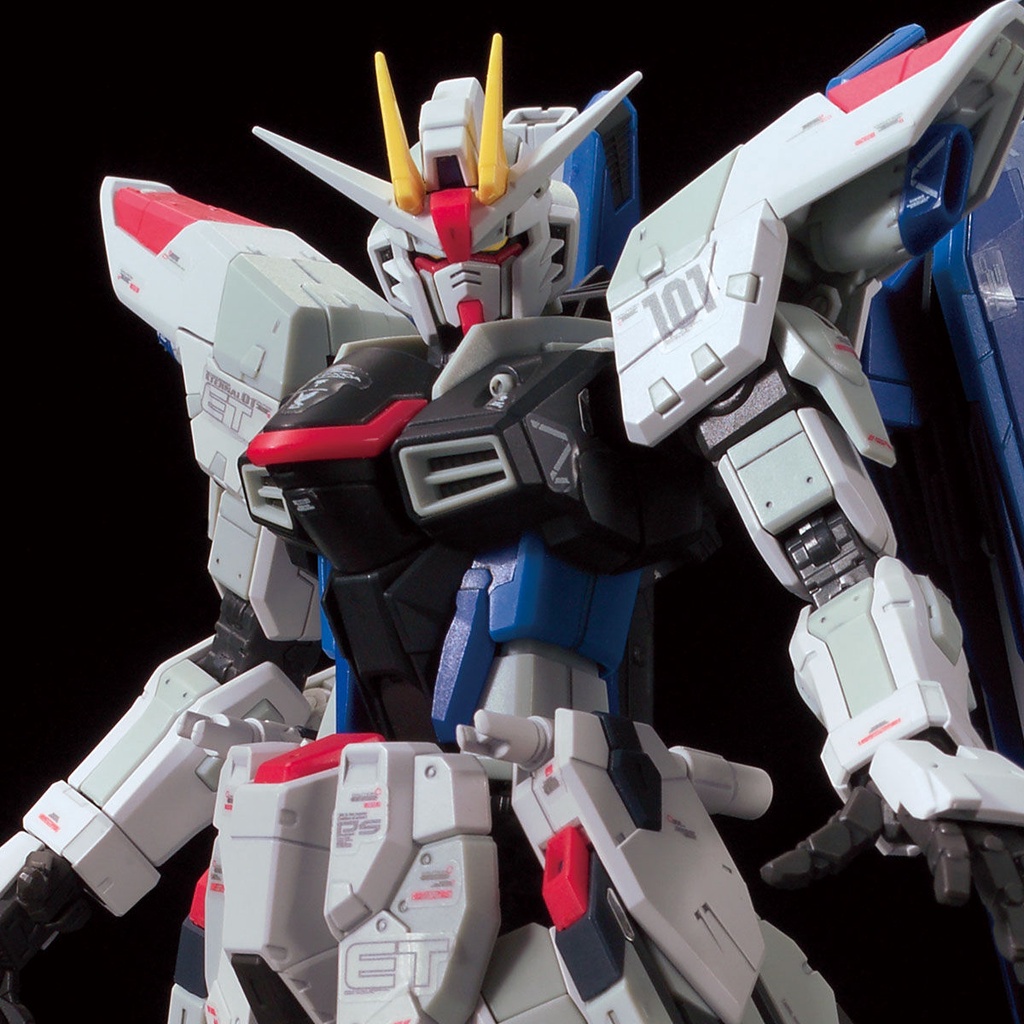 Jual RG 1/144 THE GUNDAM BASE LIMITED ZGMF-X10A FREEDOM GUNDAM Ver.GCP | Shopee Indonesia