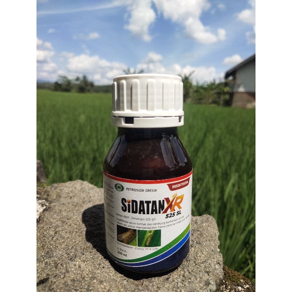 Jual SIDATAN XR 525 SL 200ml | Shopee Indonesia