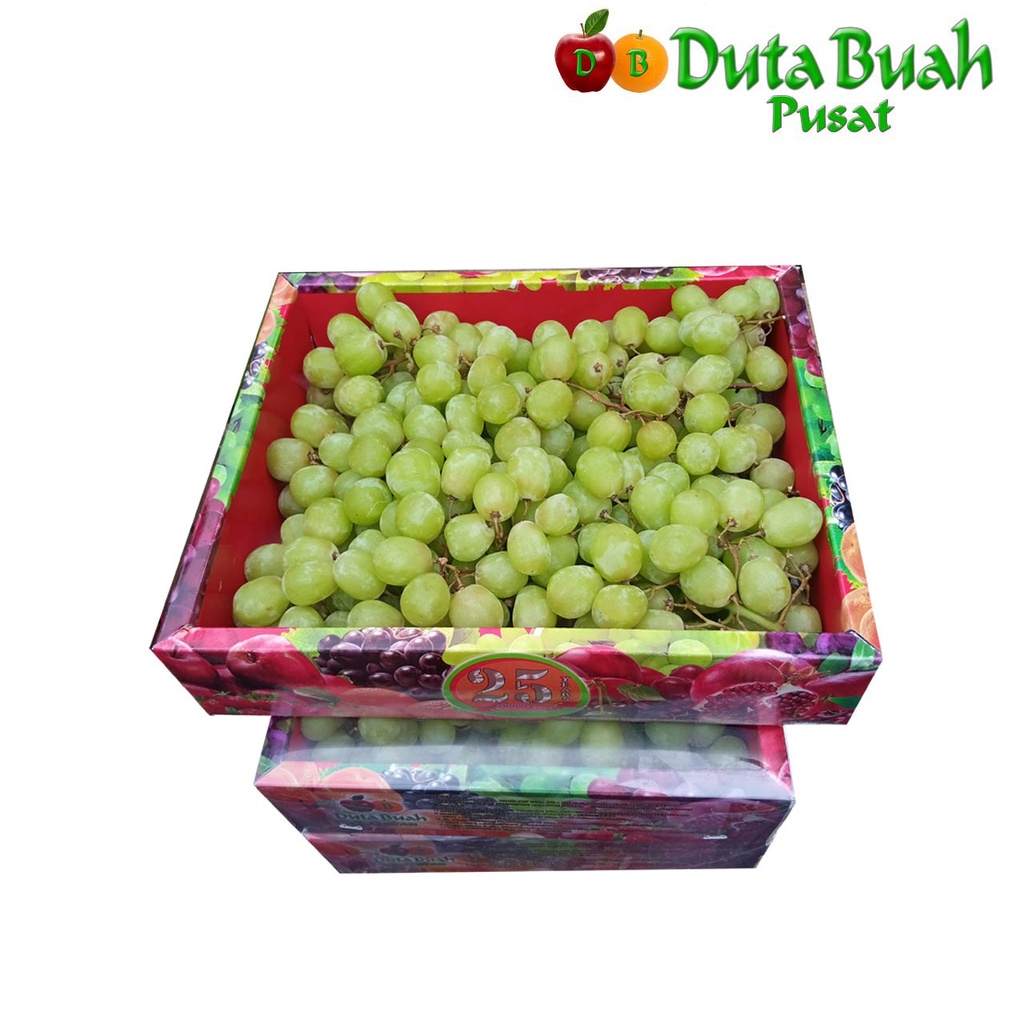 Jual DUTA BUAH GIFT BOX ANGGUR PRIME SEEDLESS (+-2.5kg) | Shopee Indonesia