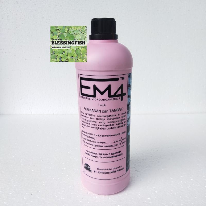 Jual Bakteri Starter Air Kolam Pupuk Cair Kolam Pupuk Cair Tambak Em4 ...