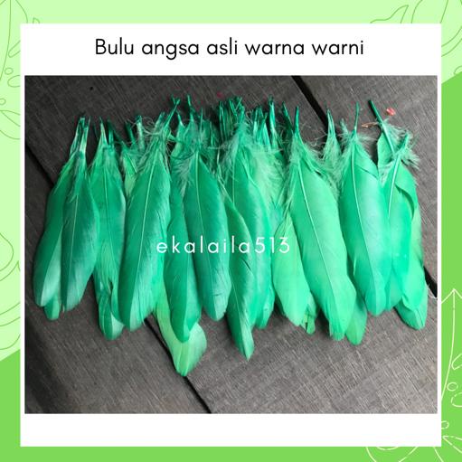 Jual BULU ANGSA ENTOG ASLI WARNA WARNI MURAH - BAHAN DREAM CATCHER ...