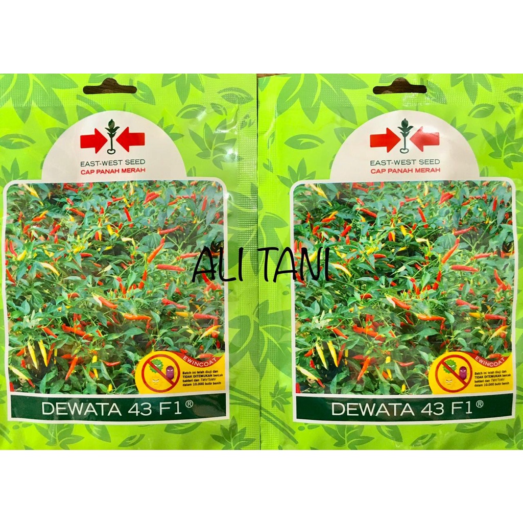 Jual DEWATA 43 F1 Kemasan 350 Butir Benih/Bibit Cabai/Cabe Rawit Setan ...