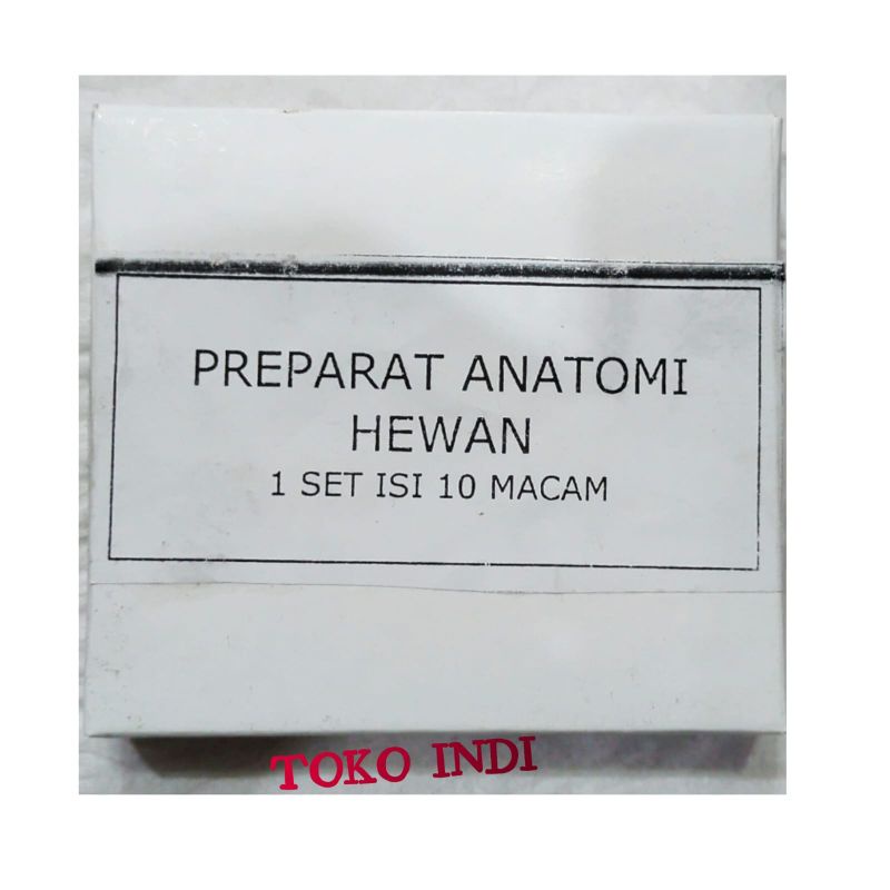 Jual Preparat Anatomi Hewan 1 Set isi 10 Macam/Preparat Hewan/Preparat ...