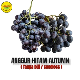 Jual Anggur 1 Kg Terlengkap & Harga Terbaru Januari 2025 | Shopee Indonesia