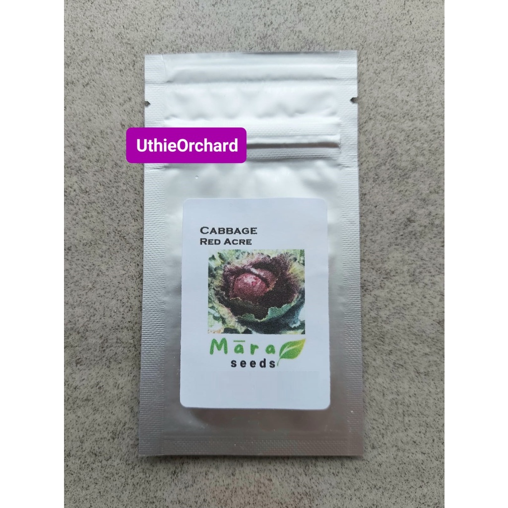 Jual Mara Seeds - Cabbage (Kubis Merah) Red Acre (170 seeds) | Shopee ...